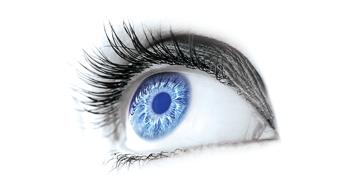 The Black and White Agency | New Brand Identity for Lighting ...